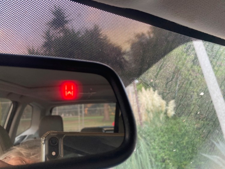 Mockingbird Morning – Gretchen Butler Wild Art